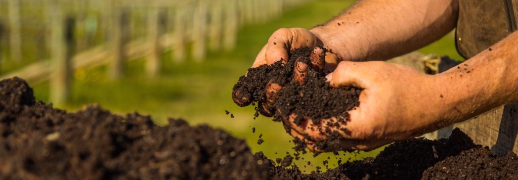 Our Vineyards - Greenhough Wines